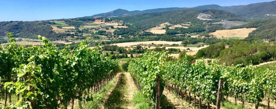 Montescudaio 여행 가이드(2025년): 인기 관광지, 교통, 날씨 등 (업데이트 날짜: 2025년 8월) | Trip.com