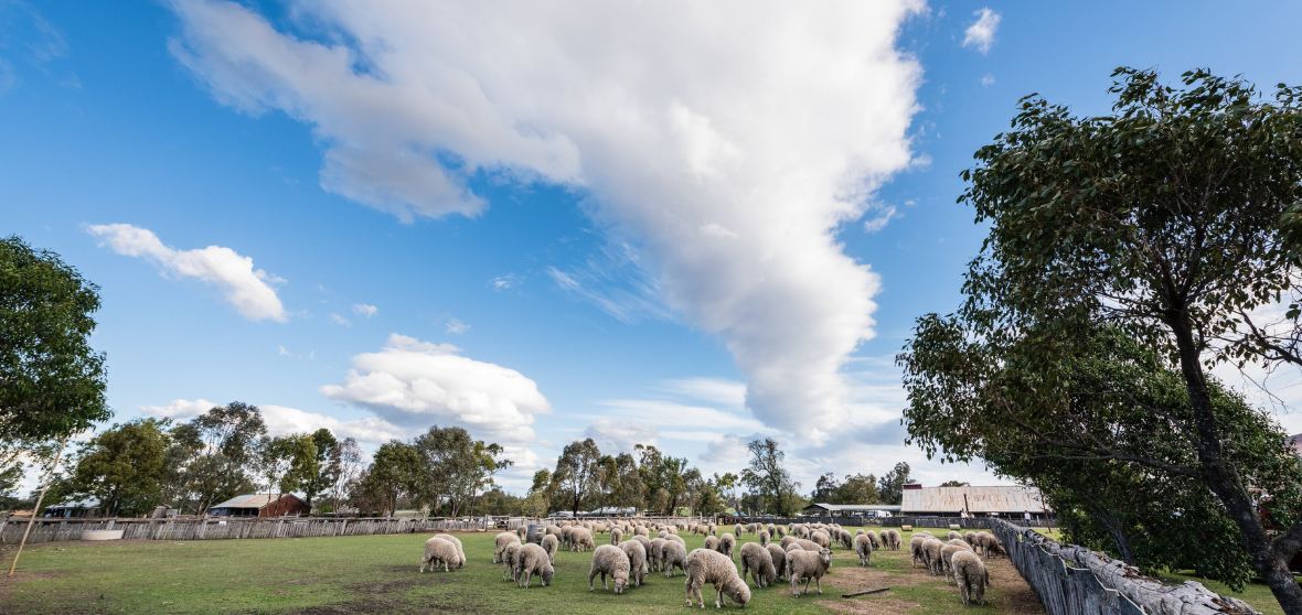 Jondaryan Travel Guide 2026: Top Attractions, Things to Do & Deals ...