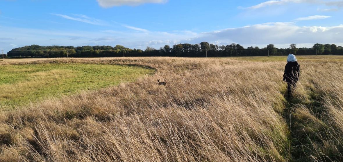 Things to do in Copt Hewick (2025): Top nearby activities,popular ...