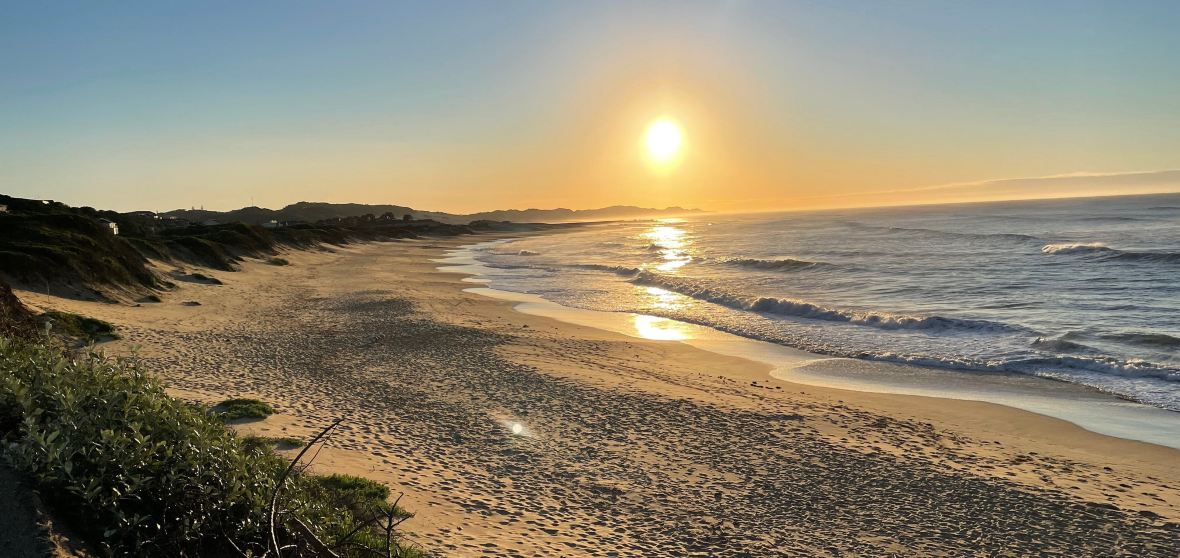 Things to Do in Port Alfred in 2025 - Top Attractions, Local Food ...