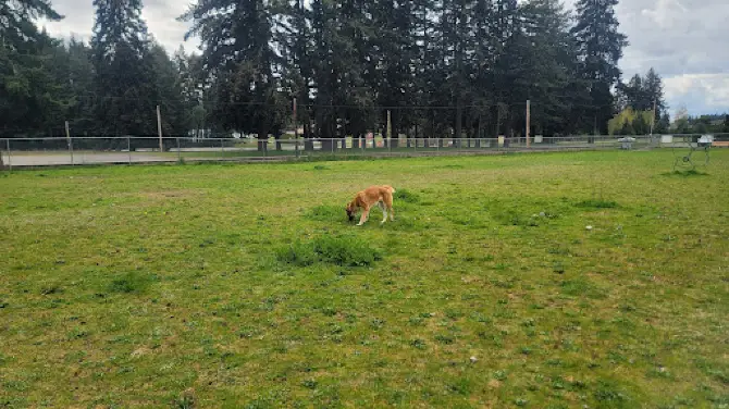 réductions sur les billets de Ft Lewis Dog Park, prix et frais ...