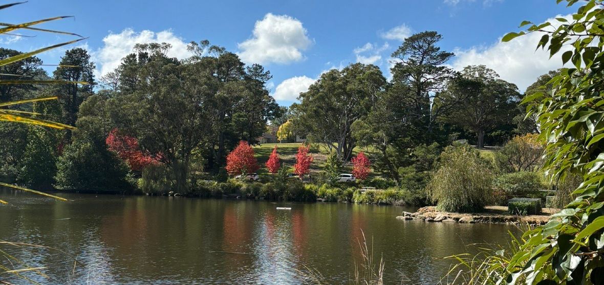 Things to Do in Mittagong in 2025 - Top Attractions, Local Food, Hotels ...