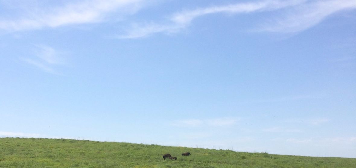 Things to Do in Lamoni in 2025 - Top Attractions, Local Food, Hotels ...