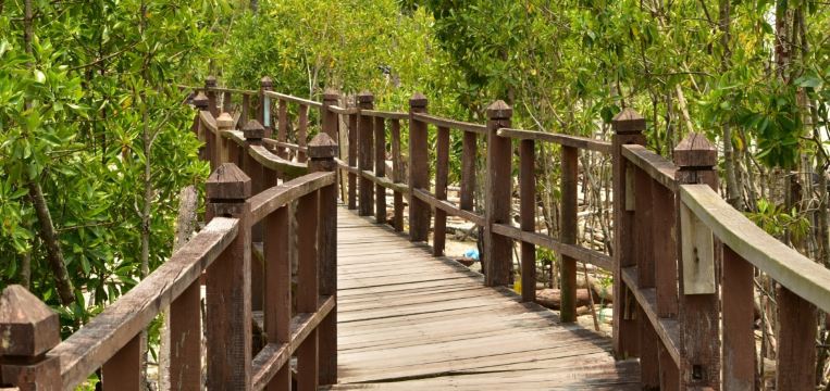 Kukup Travel Guide 2026: Top Attractions, Things to Do & Deals | Trip ...
