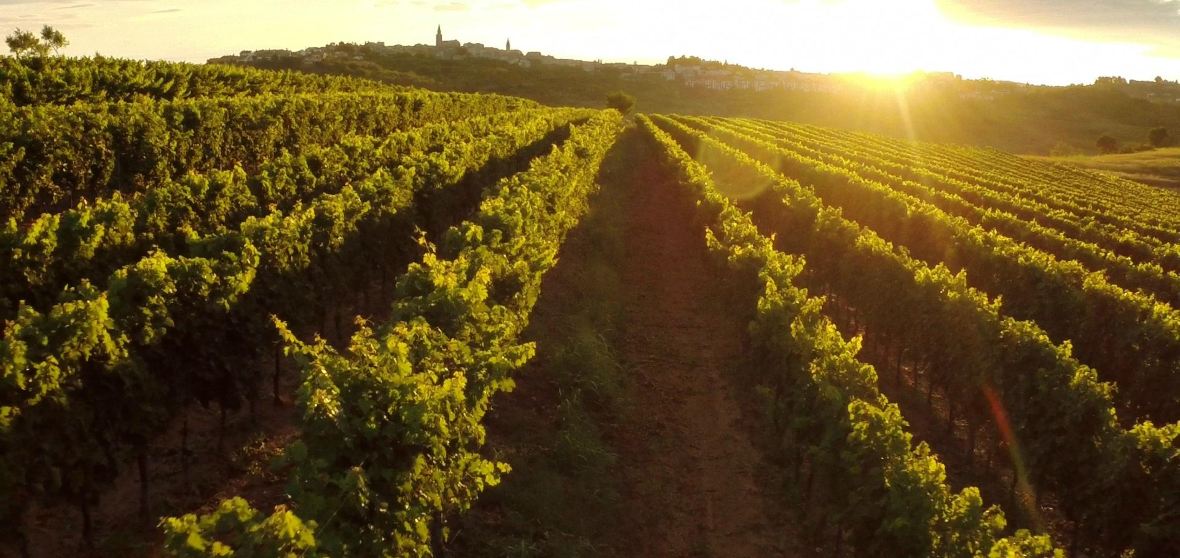 Things to Do in Merisce in 2025 - Top Attractions, Local Food, Hotels ...