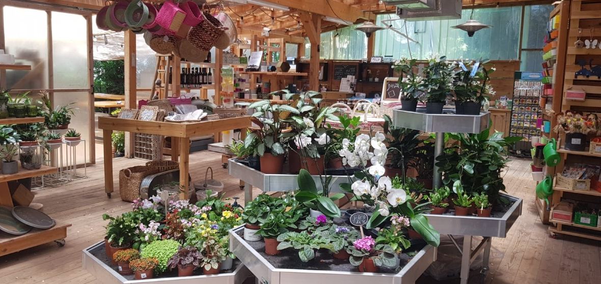 Things to Do in Emek Hefer in 2025 - Top Attractions, Local Food ...