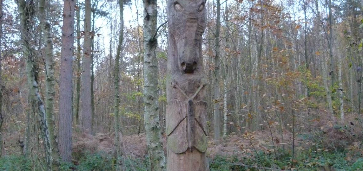 Things to do in Hackington (2025): Top nearby activities,popular ...