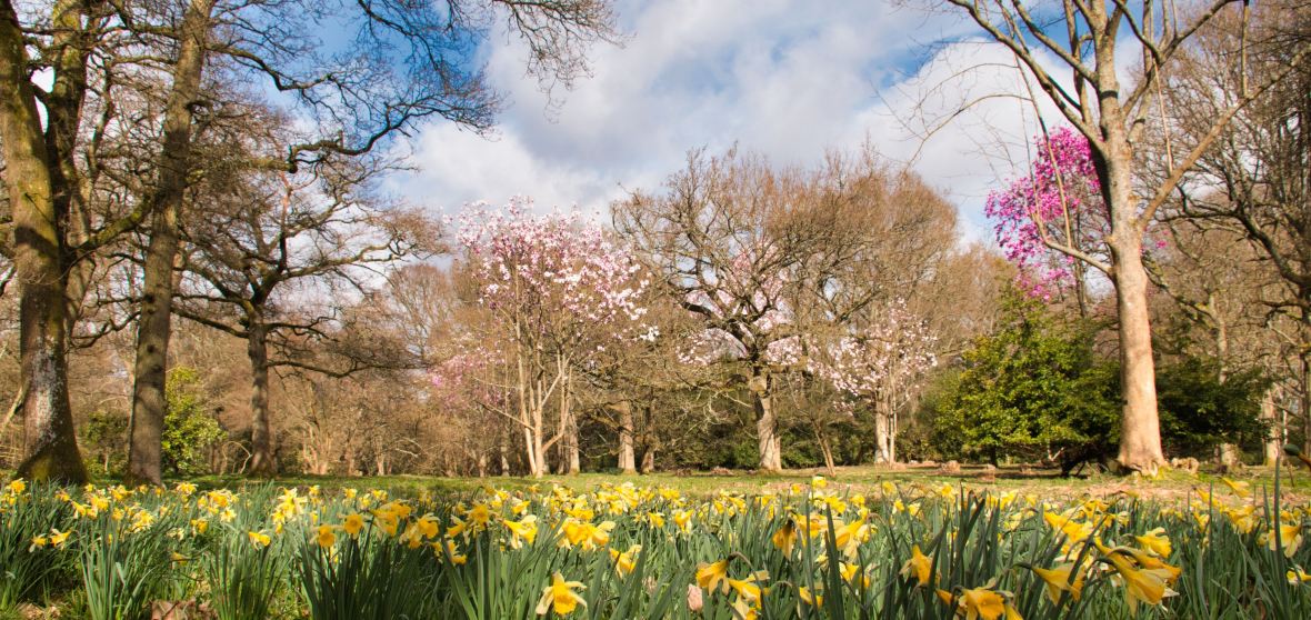 Things to Do in Busbridge in 2025 - Top Attractions, Local Food, Hotels ...