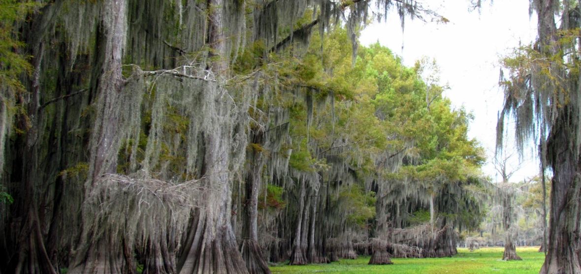 Harrison County Travel Guide 2026: Top Attractions, Things to Do ...