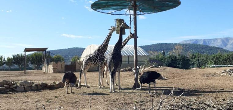 Things to do in Spata Loutsa (2025): Top nearby activities,popular ...