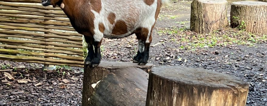 Asson 여행 가이드(2025년): 인기 관광지, 교통, 날씨 등 (업데이트 날짜: 2025년 8월) | Trip.com