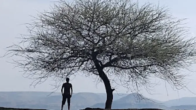 One Tree Lake Point Tickets [2025] - Promos, Prices, Reviews & Opening ...