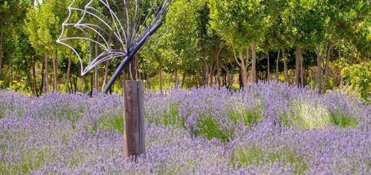 Things to do in Xylofagou (2025): Top nearby activities,popular ...