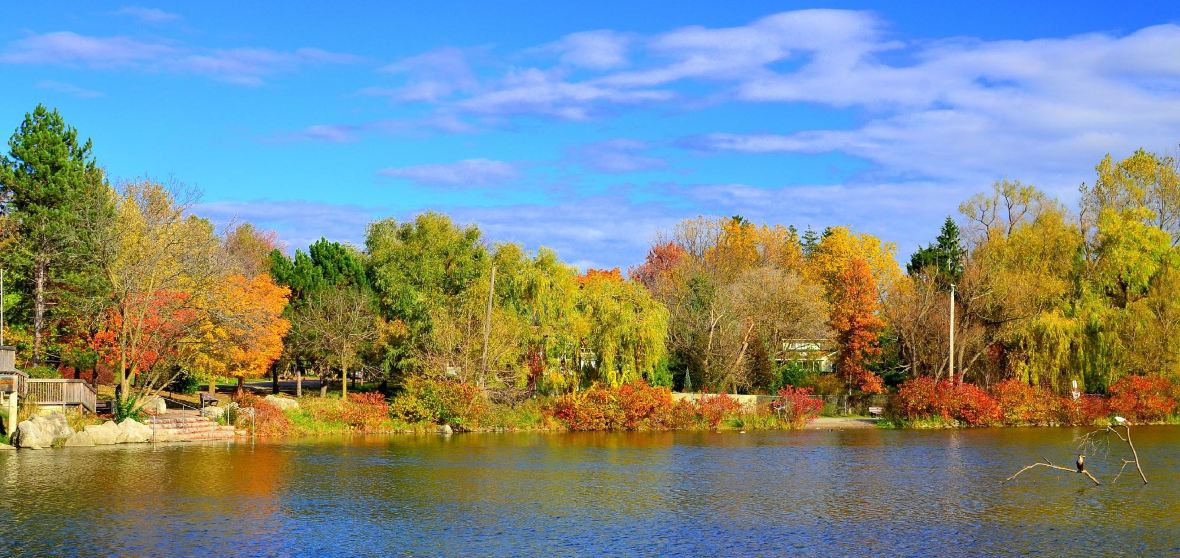 Markham Travel Guide 2026: Top Attractions, Things to do & Itinerary ...