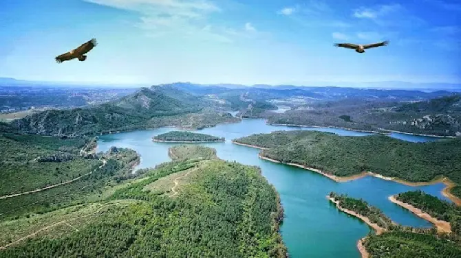 Nick Shattock-Ebro Carp & Cat Fishing 티켓 할인, 운영 시간, 후기 [2025년] | Trip.com