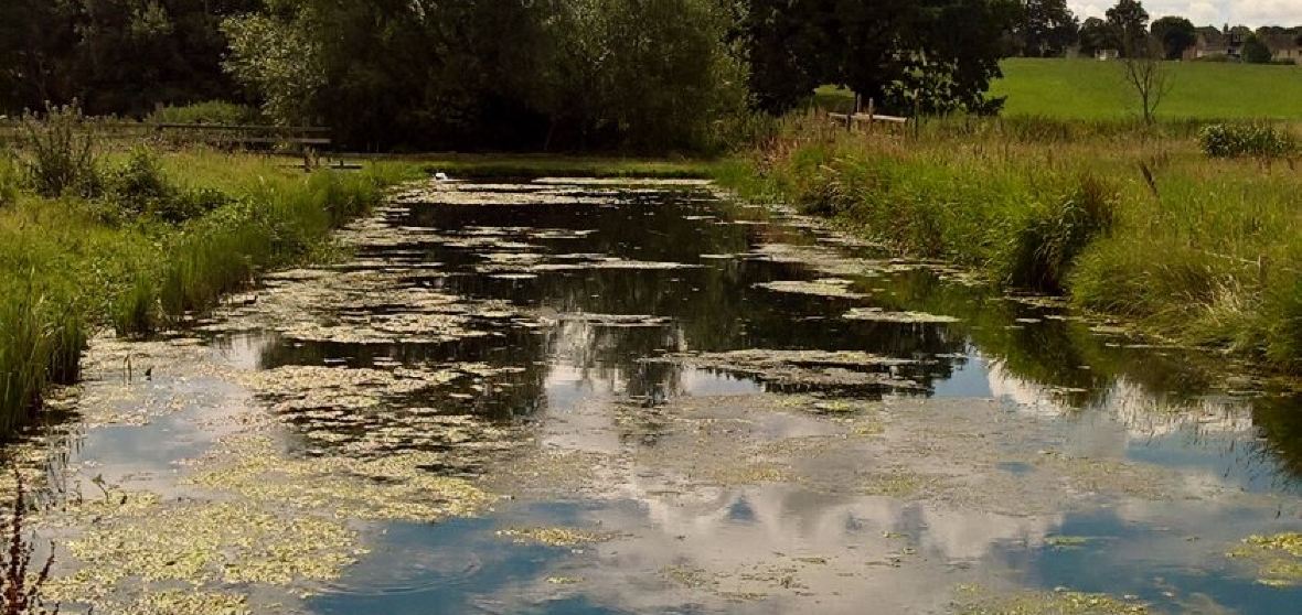 Things to do in Tickenham (2025): Top nearby activities,popular ...