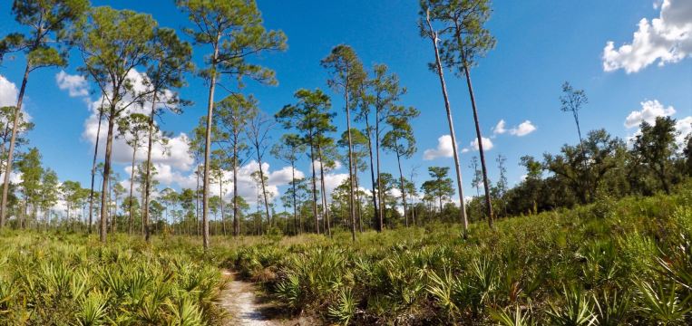 Highlands County Travel Guide 2026: Top Attractions, Things to do ...