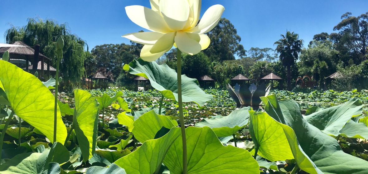 Yarra Junction Travel Guide 2026: Top Attractions, Things to Do & Deals ...