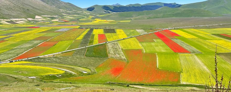 Segrate Travel Guide 2026: Top Attractions, Things to Do & Deals | Trip ...
