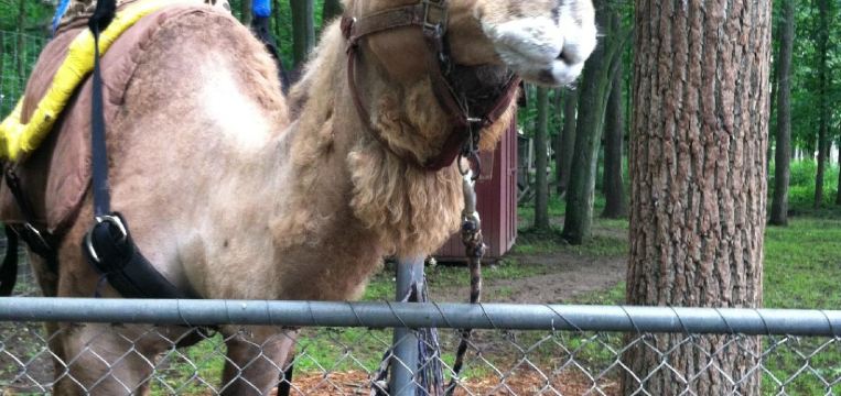 Eden Township Travel Guide 2026: Top Attractions, Things to Do & Deals ...