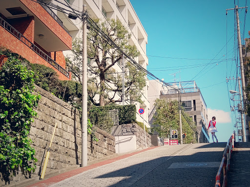 Nozokizaka Tickets [2026] - Promos, Prices, Reviews & Opening Hours ...