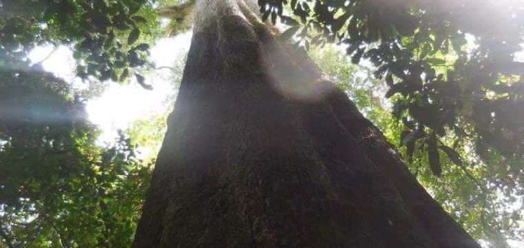 Things to do in Akim Oda (2025): Top nearby activities,popular ...