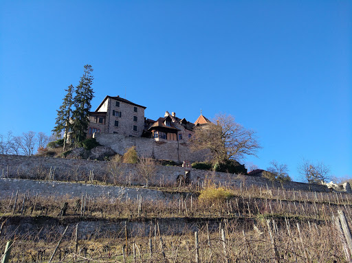 Château de Reichenberg - Tickets, Opening Hours, Reviews & Photos [2025 ...