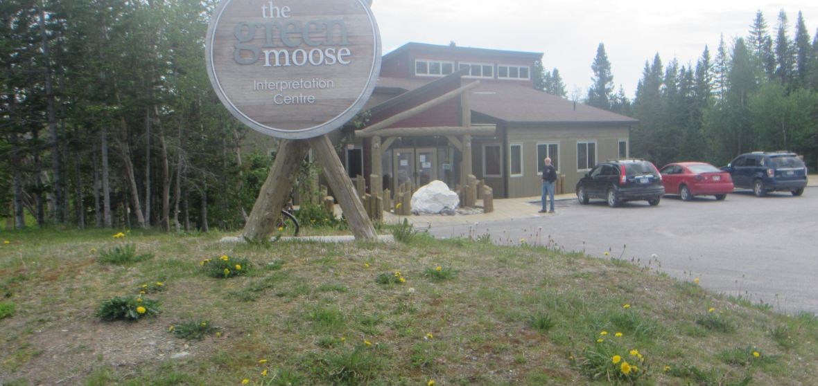 Roddickton Travel Guide 2025: Top Attractions, Things to Do & Deals ...