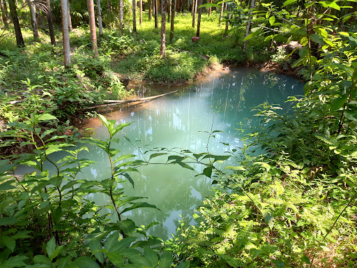 Katara Falls門票【2025】- 預約、開放時間、評論及資訊 | Trip.com