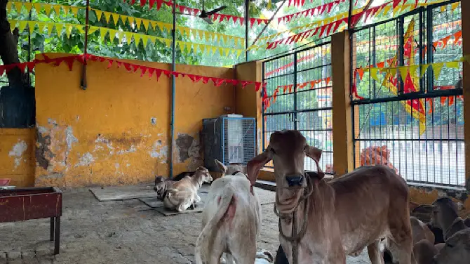 Shri Radha Krishna Mandir Gaushala Mayur Vihar 티켓 할인, 운영 시간, 후기 [2025년 ...