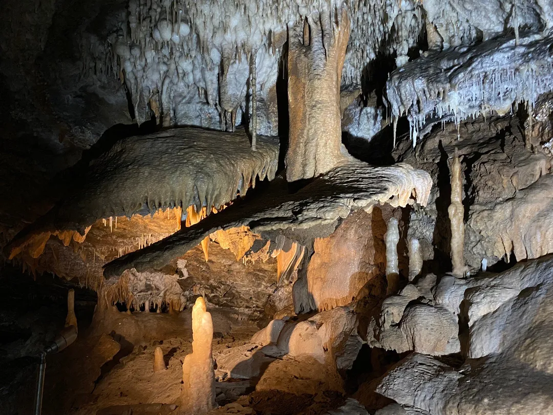 Buchan Caves Reserve Visitor Centre and Ticket Office Tickets [2026 ...