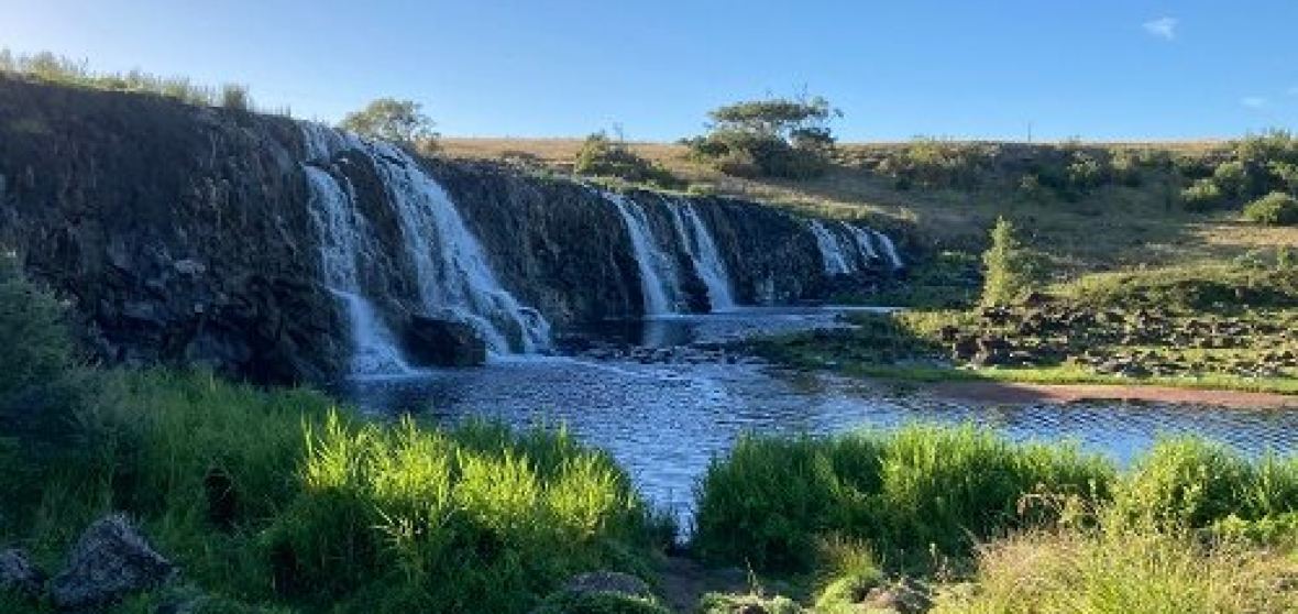 Things to do in Cudgee (2025): Top nearby activities,popular ...