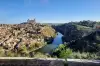 toledo viewpoint