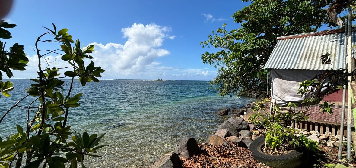 Things to do in Matautu (2025): Top nearby activities,popular ...