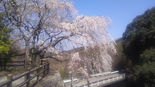 réductions sur les billets de Ryuo Shrine, prix et frais, réservations ...