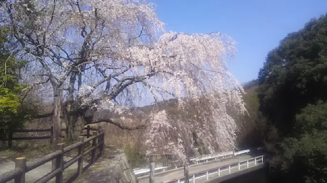 Ryuo Shrine Tickets [2026] - Promos, Prices, Reviews & Opening Hours ...