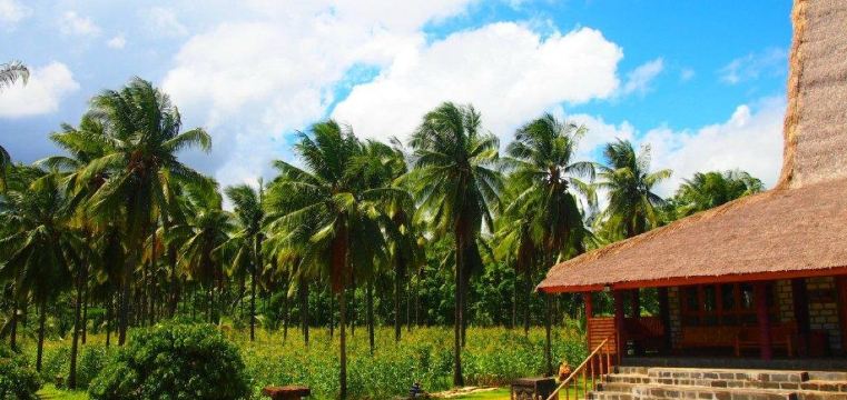 Tambolaka Travel Guide 2025: Top Attractions, Things to Do & Deals ...