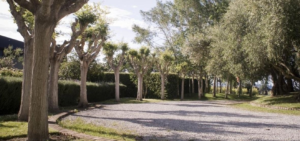 Things to do in Manutuke (2025): Top nearby activities,popular ...