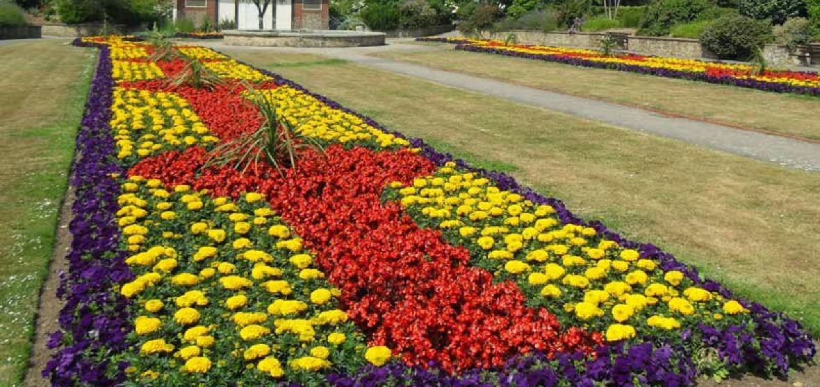 Things to do in Aldwick (2025): Top nearby activities,popular ...