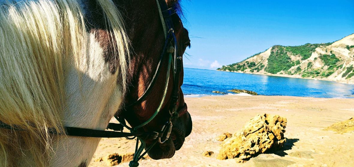 Kavos independent travel guide (2025): top things to do near you ...