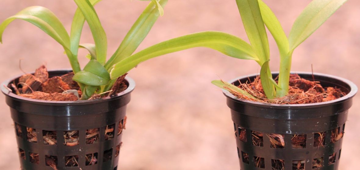 Things to do in Guacimo (2025): Top nearby activities,popular ...