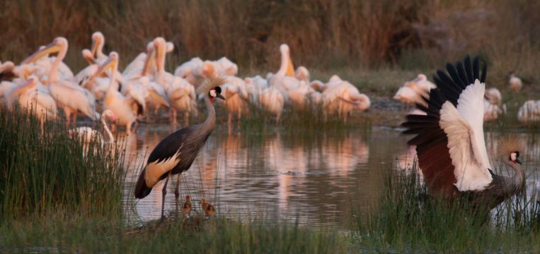 Gilgil Travel Guide 2026: Top Attractions, Things to Do & Deals | Trip ...