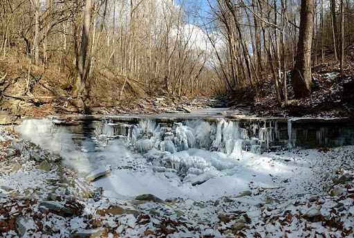 Kope Hollow Nature Preserve - Tickets, Opening Hours, Reviews & Photos ...