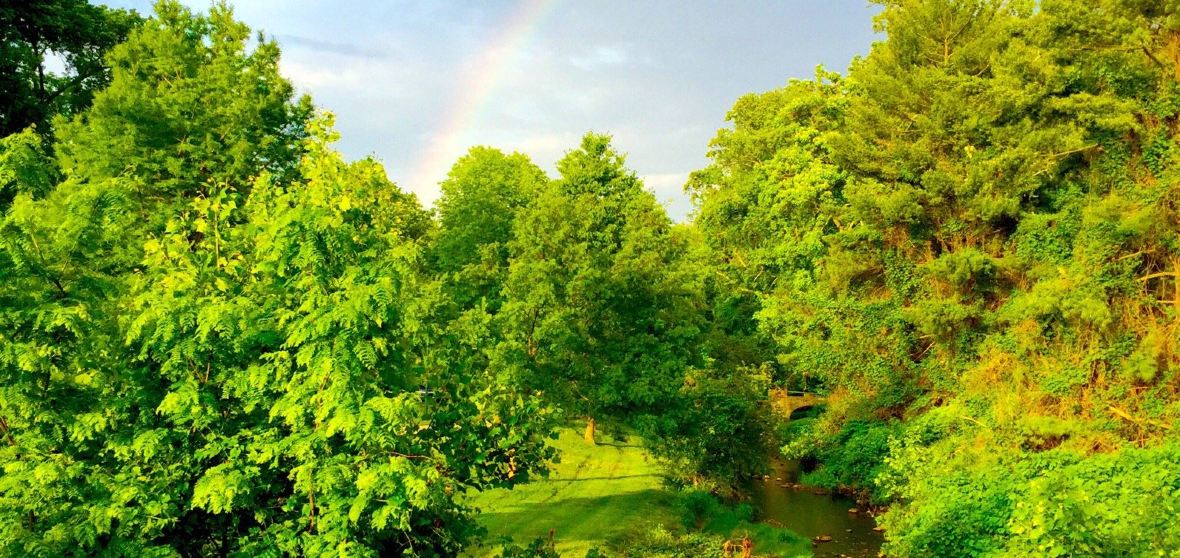 Cabell County Travel Guide 2026: Top Attractions, Things to do ...