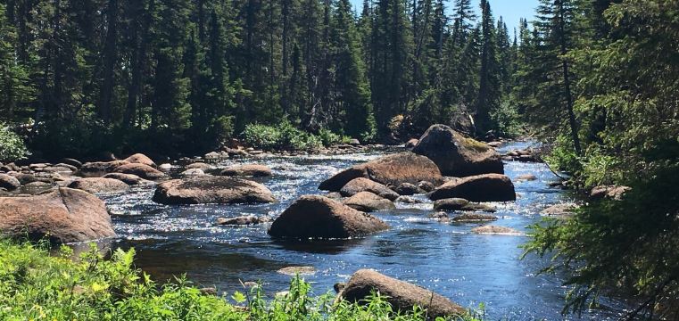 Main Brook Travel Guide 2025: Top Attractions, Things to Do & Deals ...