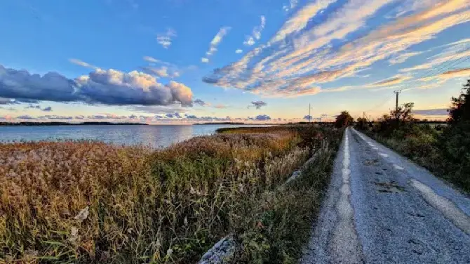 Virtsu raudteetamm Tickets [2026] - Promos, Prices, Reviews & Opening ...