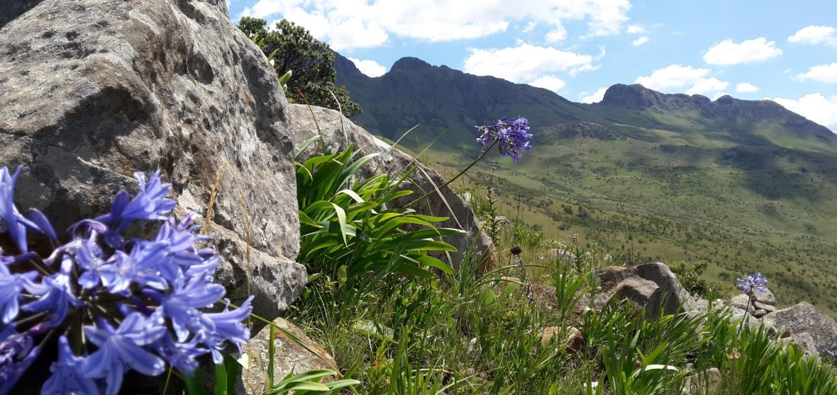 Kokstad Travel Guide 2025: Top Attractions, Things to Do & Deals | Trip ...