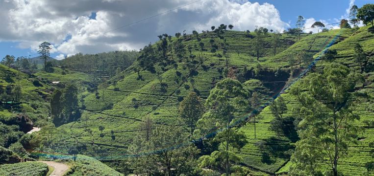 Things to do in Ganemulla (2025): Top nearby activities,popular ...