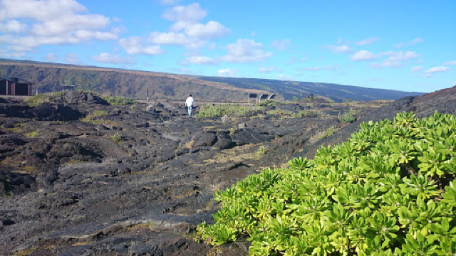 Pu‘uloa Petroglyphs - จองตั๋ว, เวลาเปิด-ปิด, รีวิว & รูปภาพ [2025 ...