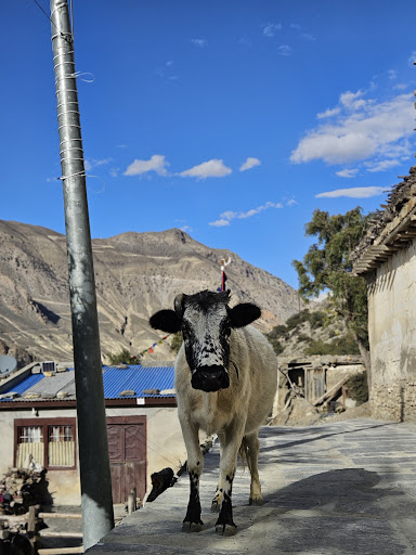 Thini Village Trek Tickets [2025] - Promos, Prices, Reviews & Opening ...